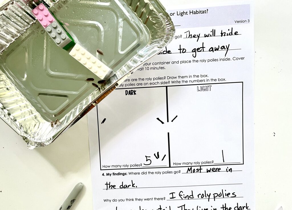Engage Your Students with Fun Roly Poly Experiments!