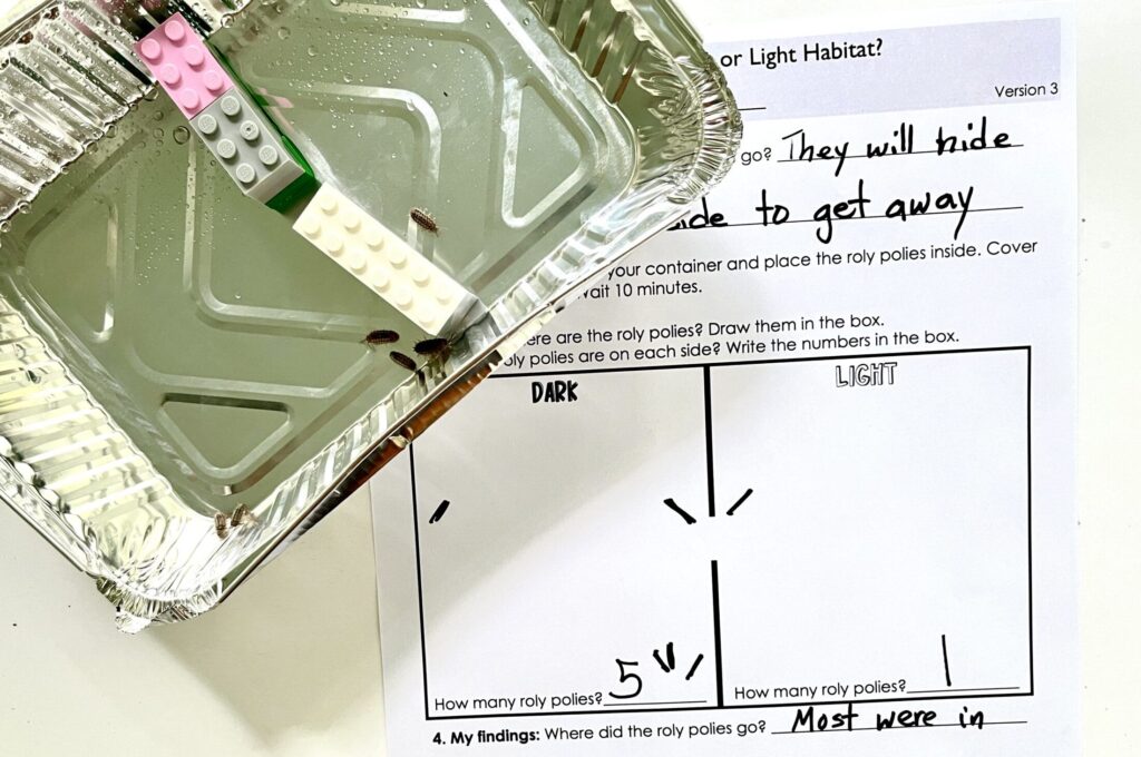 Engage Your Students with Fun Roly Poly Experiments!