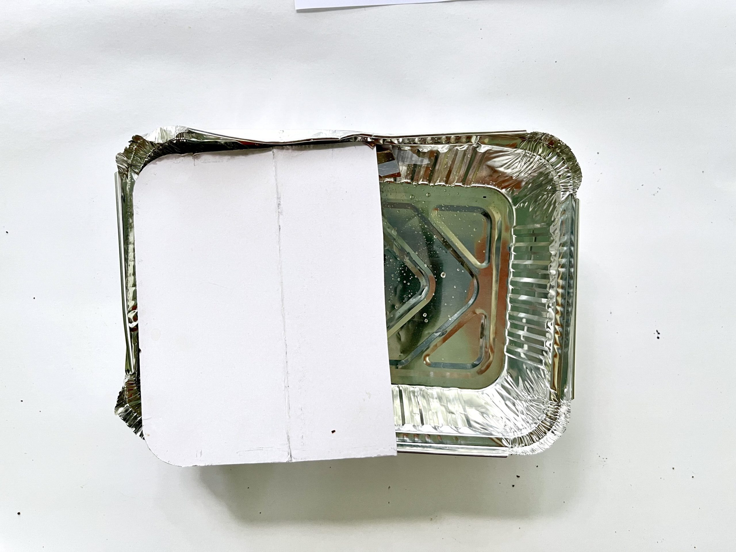 Engage Your Students with Fun Roly Poly Experiments!