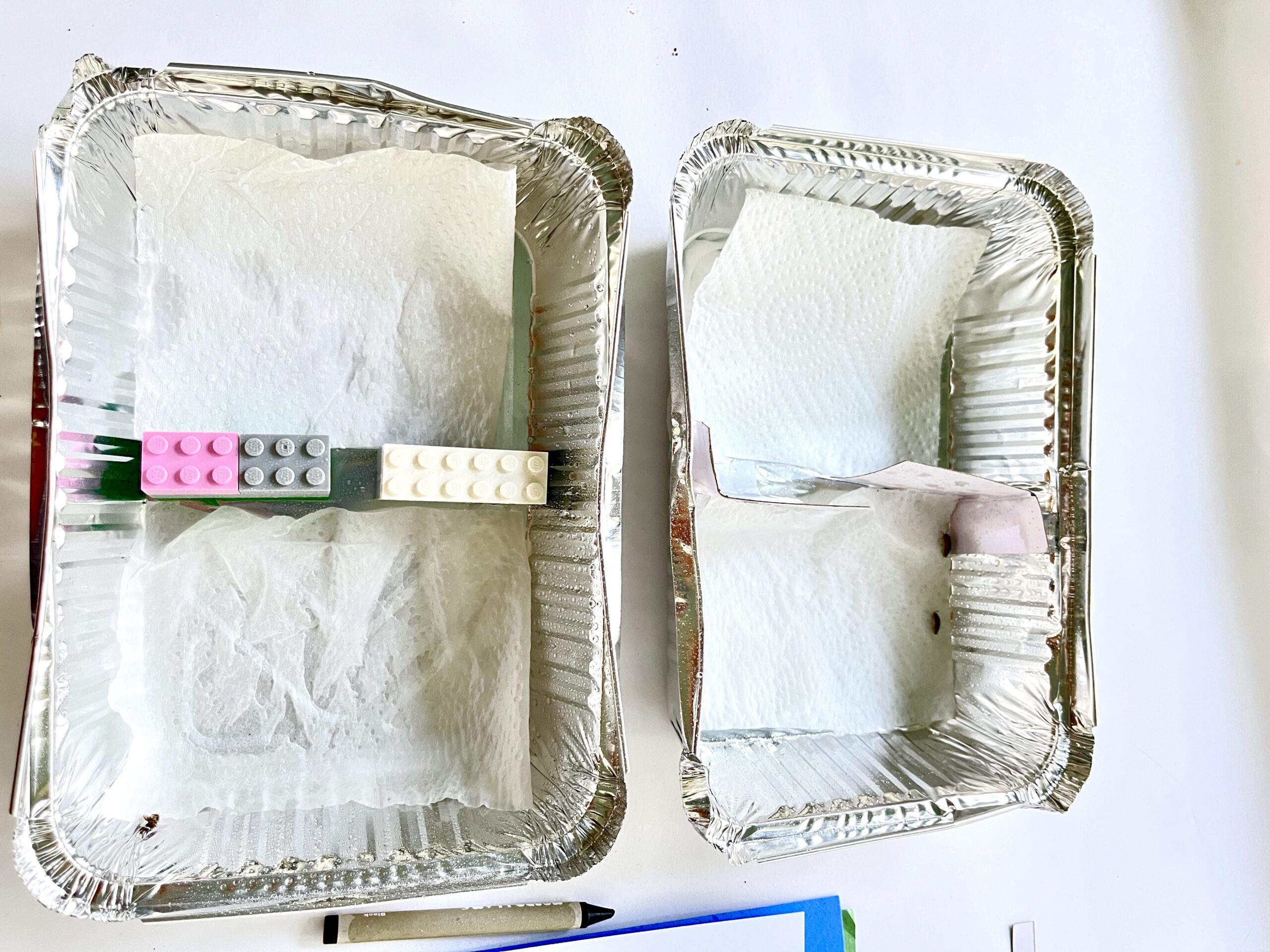 Engage Your Students with Fun Roly Poly Experiments!