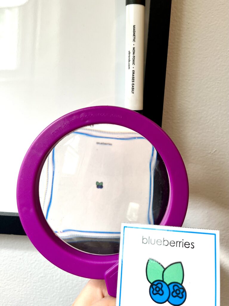 Introducing Preschoolers to Magnifying Fun