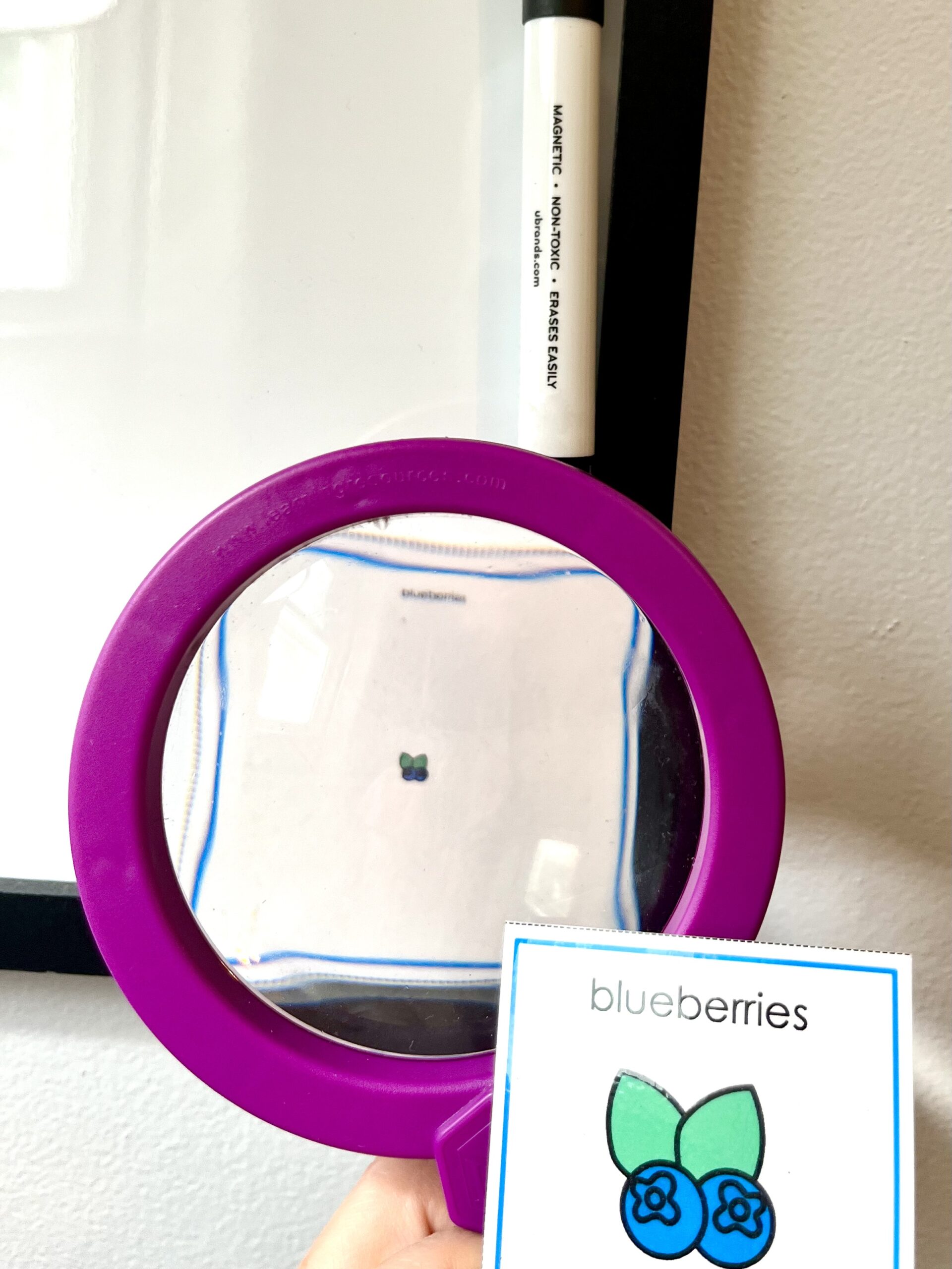 Introducing Preschoolers to Magnifying Fun