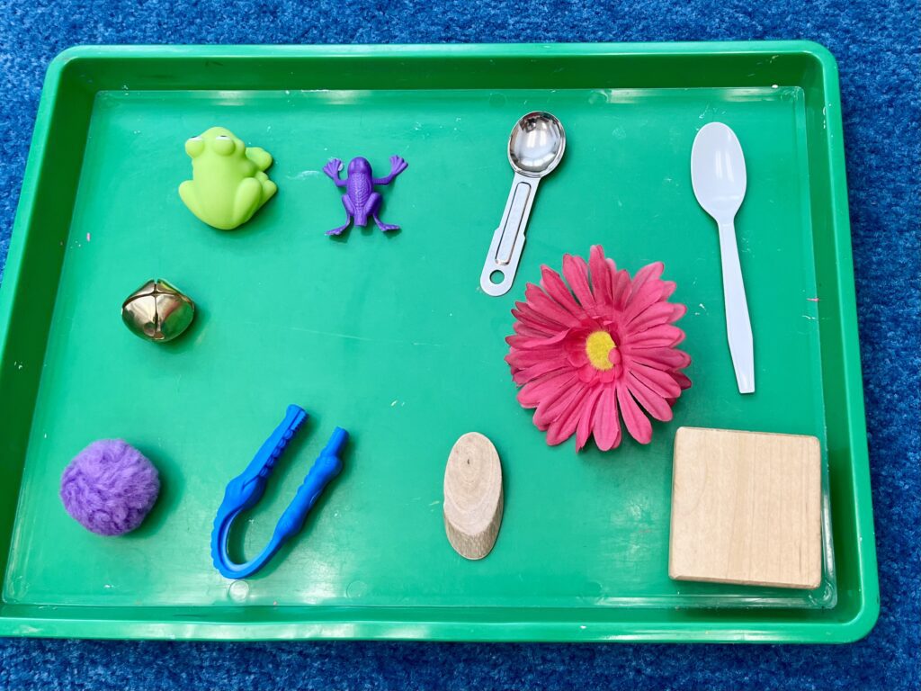Observations Skills in Preschool: The "What's Missing?" Game