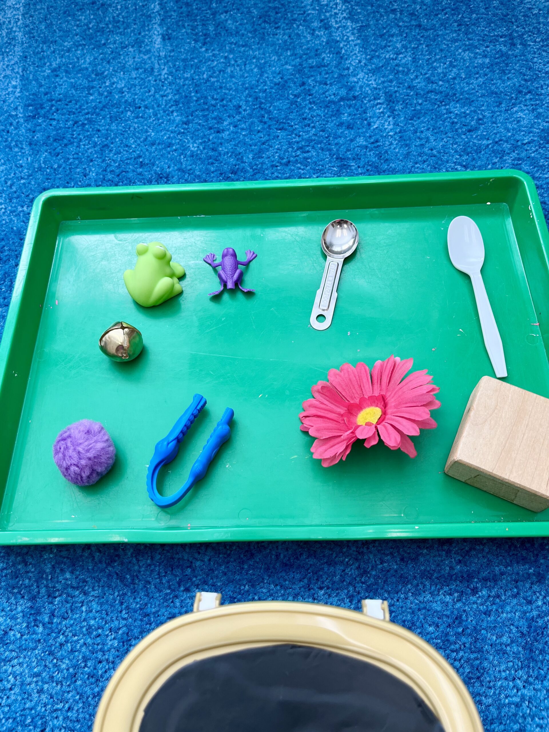 Observations Skills in Preschool: The "What's Missing?" Game