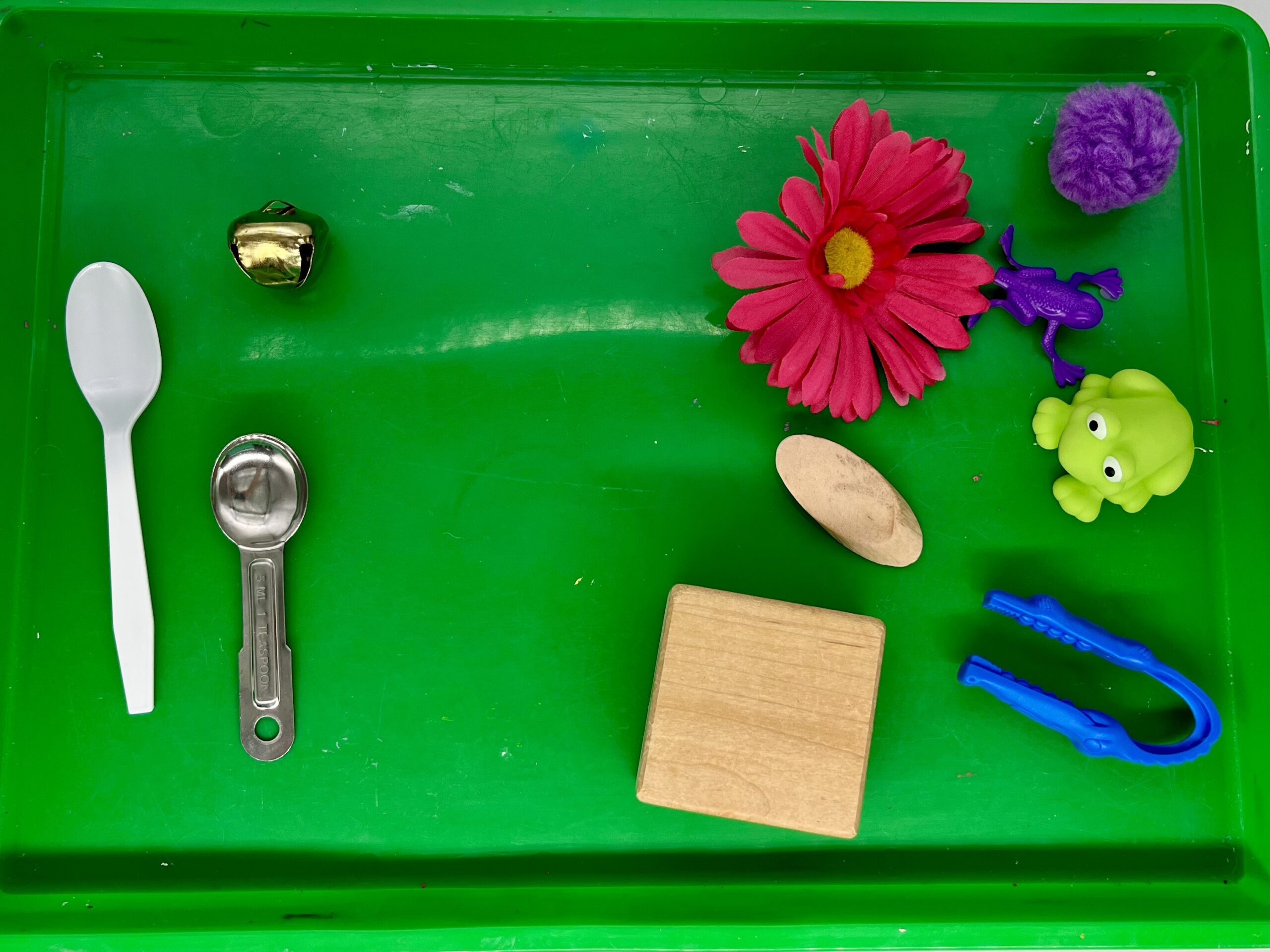 Observations Skills in Preschool: The "What's Missing?" Game