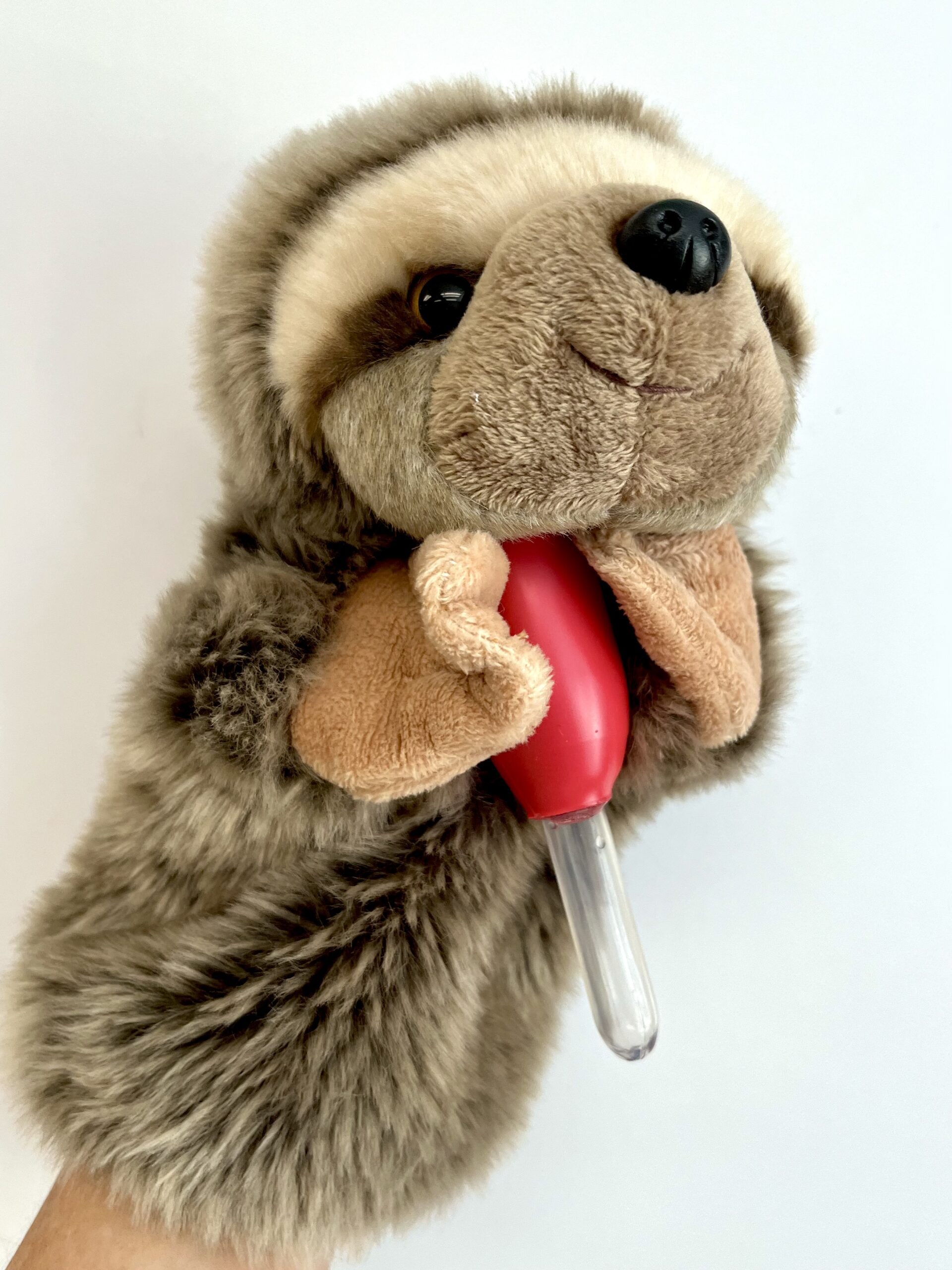 Pipettes in Preschool: Fun Science and Fine-Motor Activities