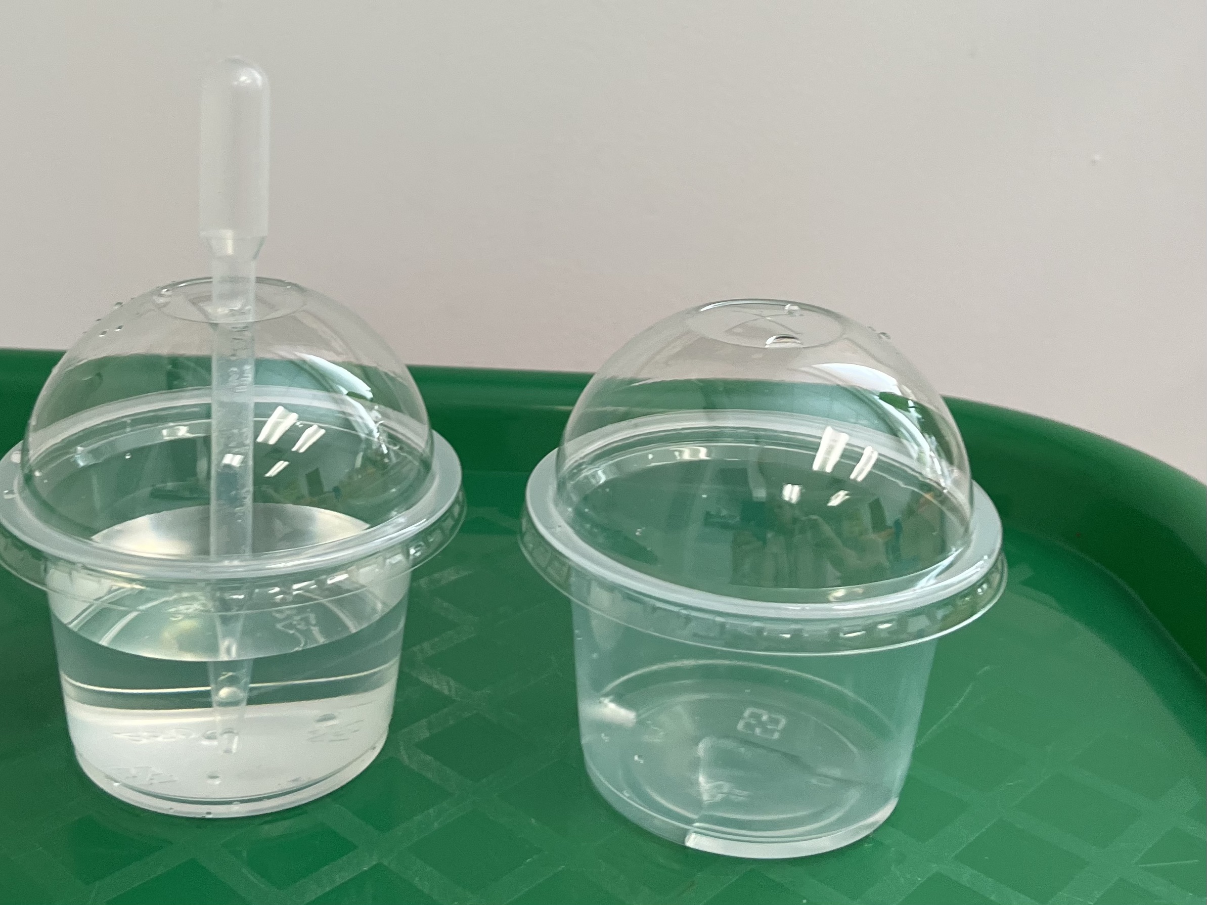 Pipettes in Preschool: Fun Science and Fine-Motor Activities