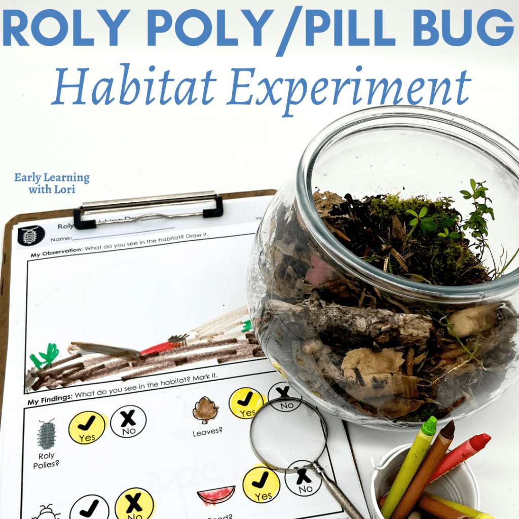 Free Animal Habitat Activities for Kindergarten & 1st Grade
