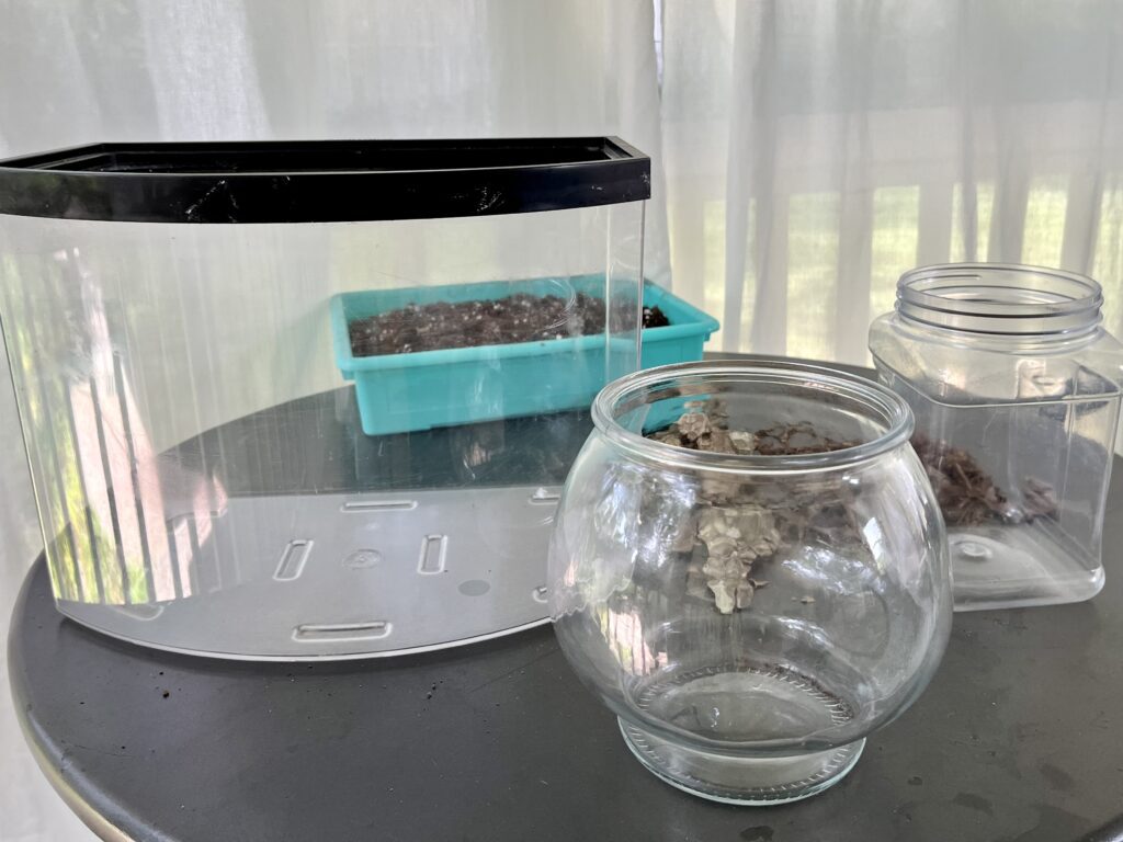 Create a Classroom Roly Poly Habitat: Easy STEM Project