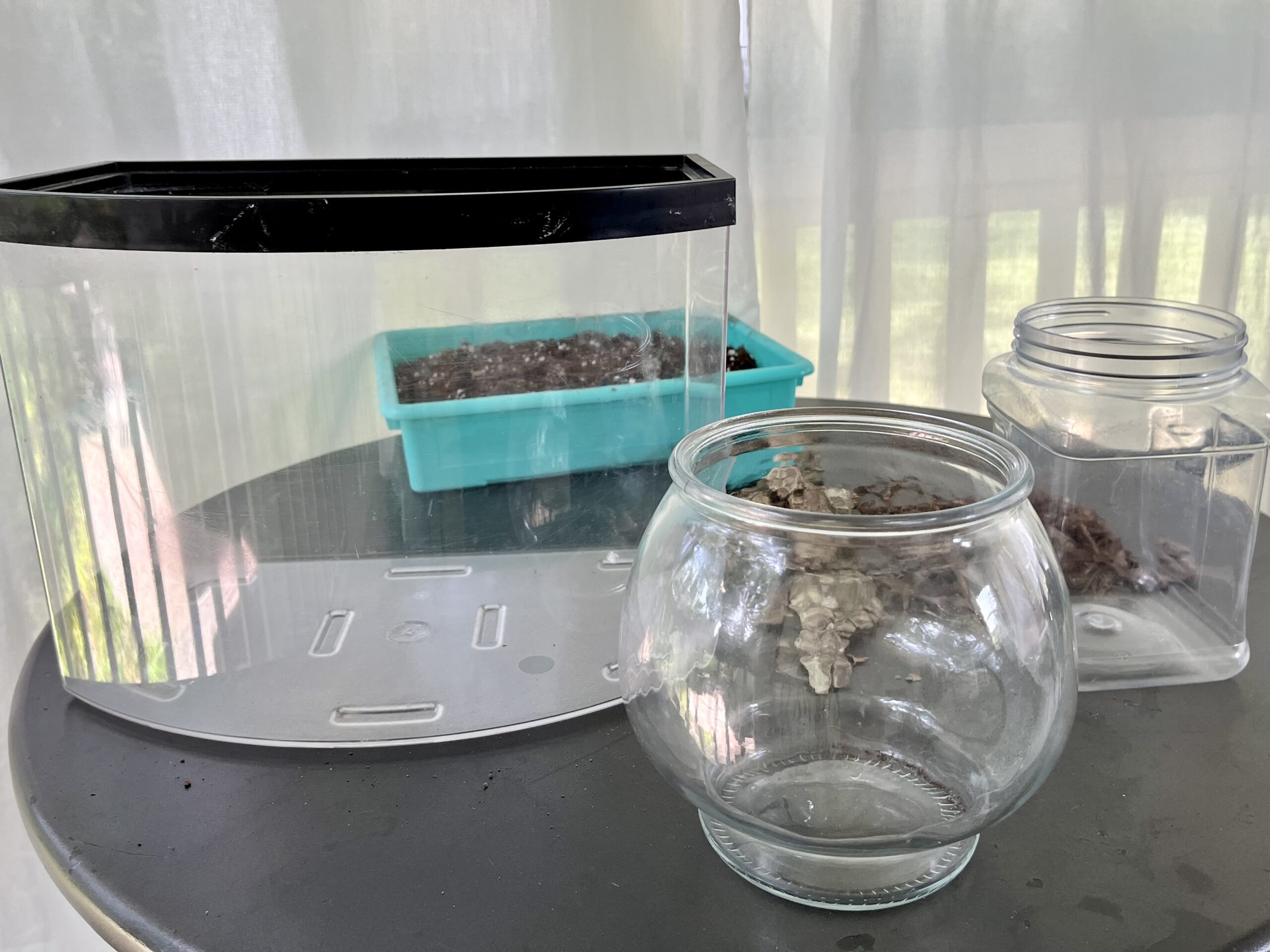 Create a Classroom Roly Poly Habitat: Easy STEM Project