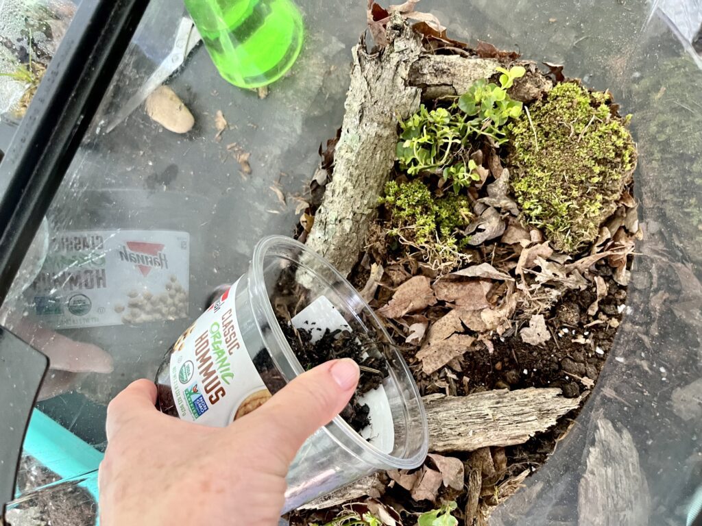 Create a Classroom Roly Poly Habitat: Easy STEM Project