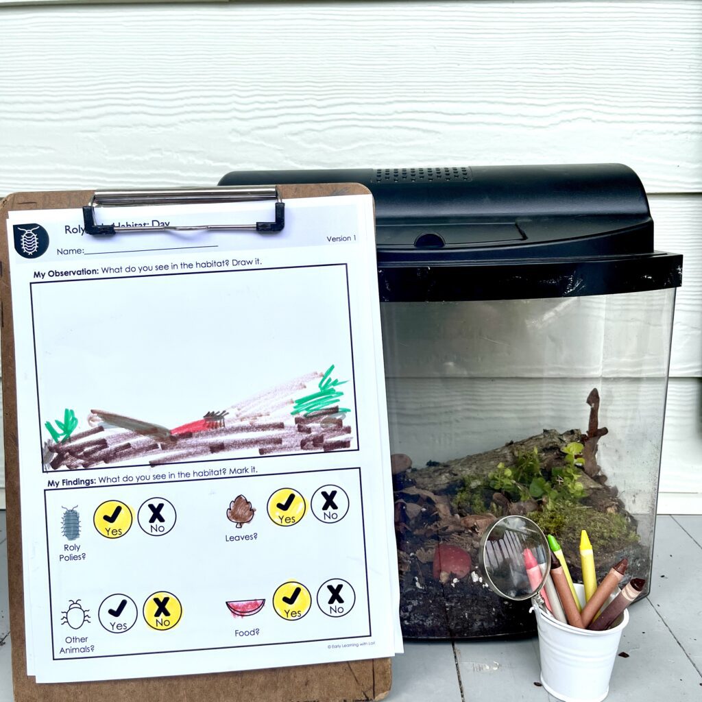 Create a Classroom Roly Poly Habitat: Easy STEM Project