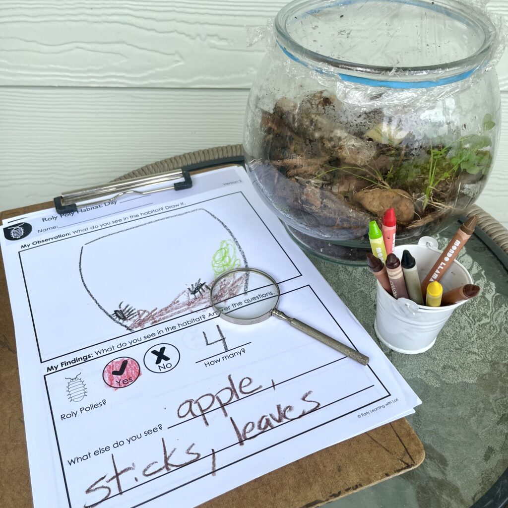 Create a Classroom Roly Poly Habitat: Easy STEM Project