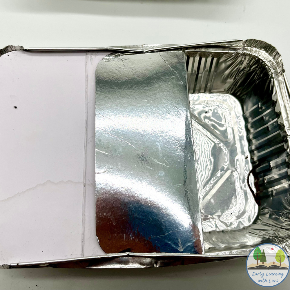 Exploring Worm Behavior: Hands-On Science for Kids