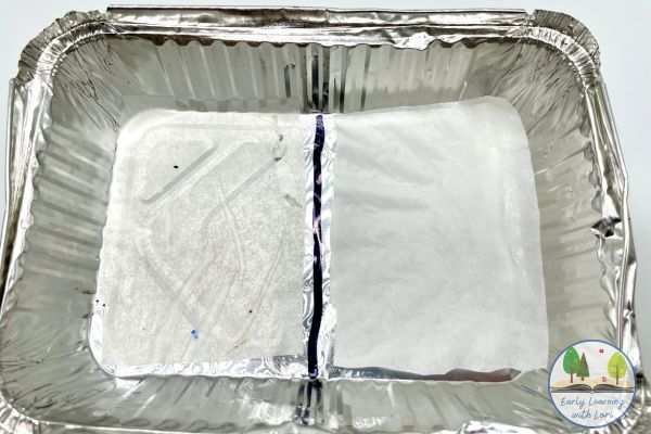 Exploring Worm Behavior: Hands-On Science for Kids