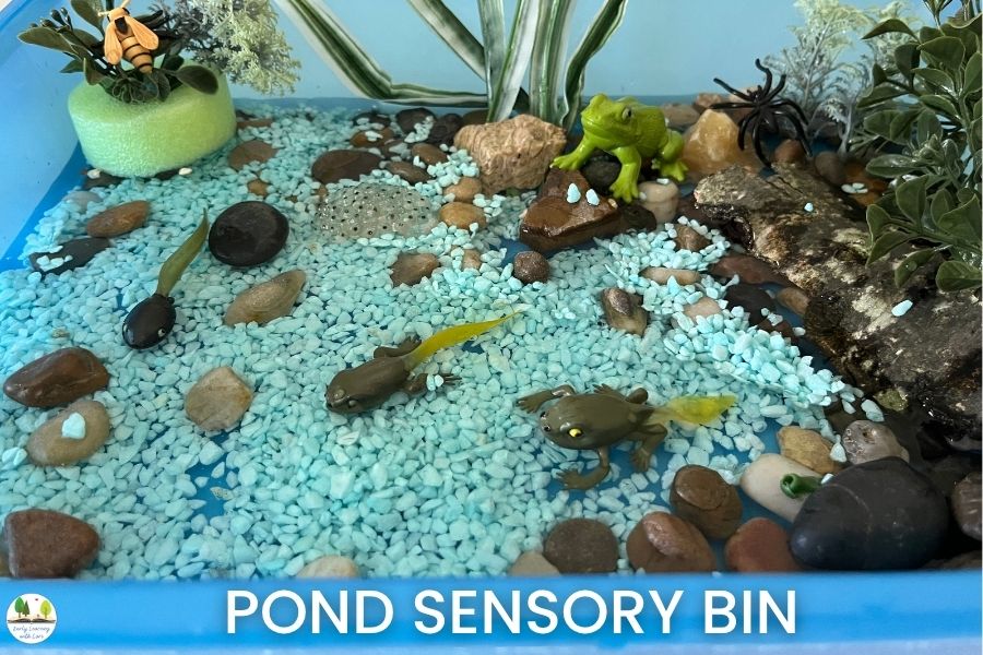 Pond Habitat Sensory Bin for Preschool Science Fun