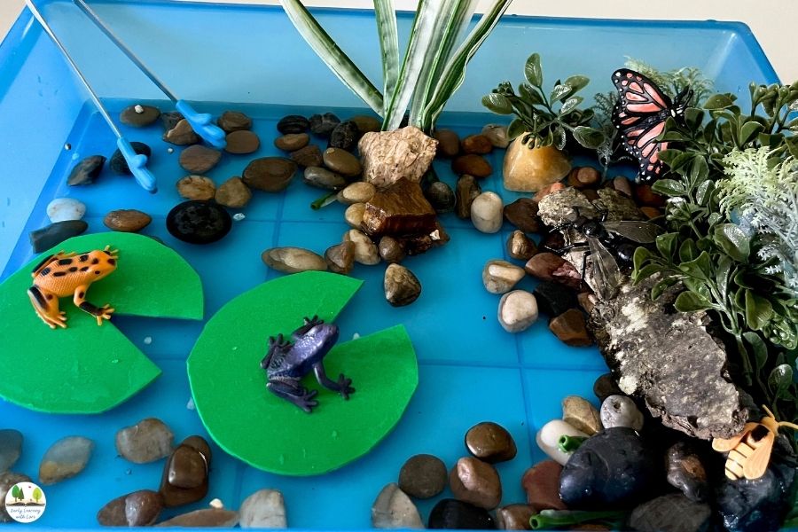 Pond Habitat Sensory Bin for Preschool Science Fun