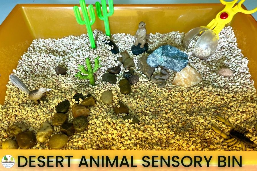 Desert Habitat Sensory Bin for Preschool Science Play ...