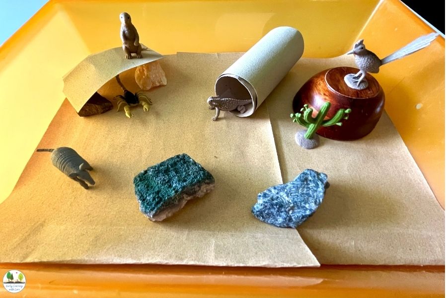 Desert Habitat Sensory Bin for Preschool Science Play ...