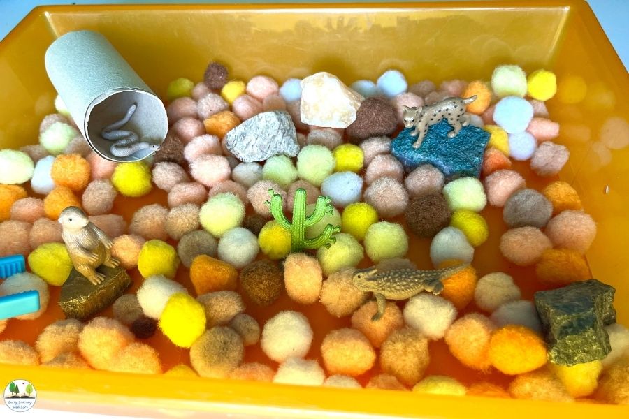 Desert Habitat Sensory Bin for Preschool Science Play ...