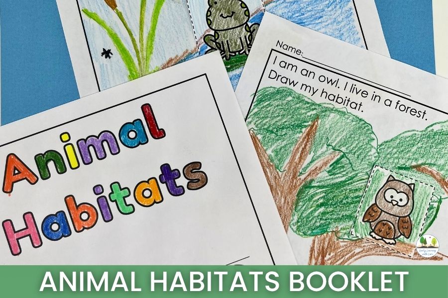 Free Animal Habitat Activities for Kindergarten & 1st Grade