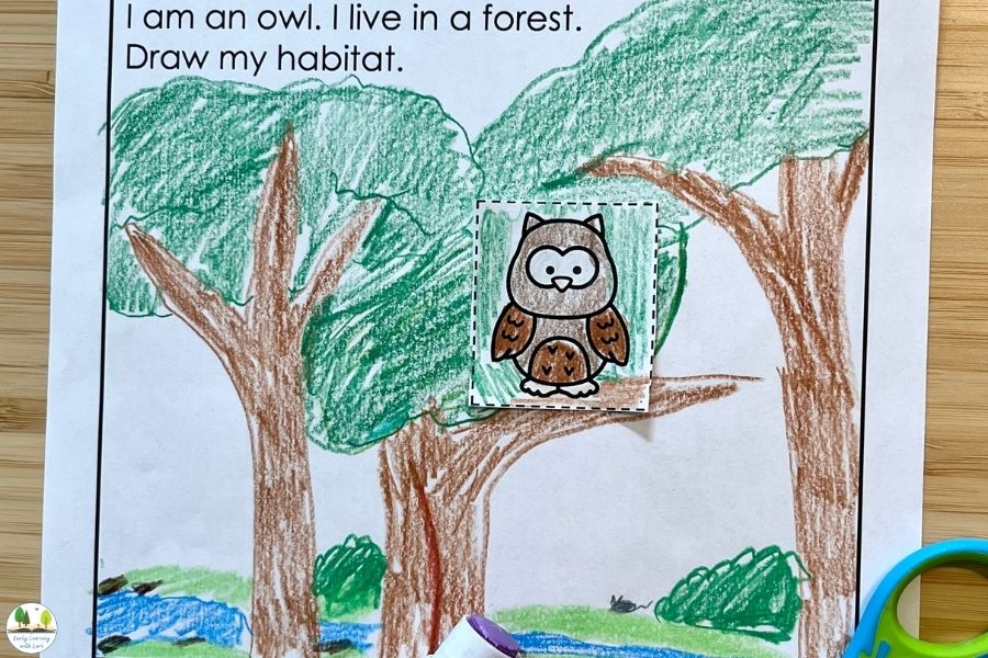 Free Animal Habitat Activities for Kindergarten & 1st Grade