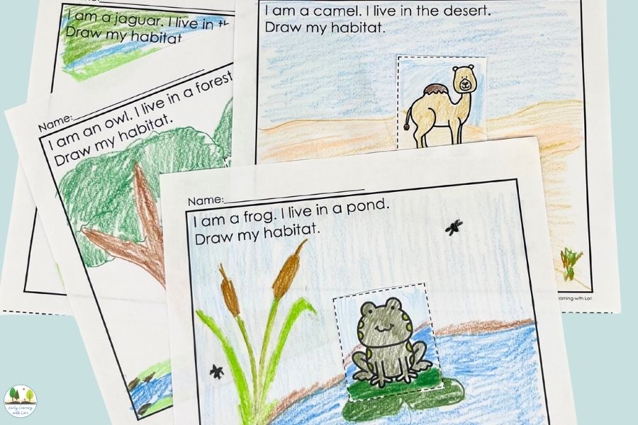 Free Animal Habitat Activities for Kindergarten & 1st Grade