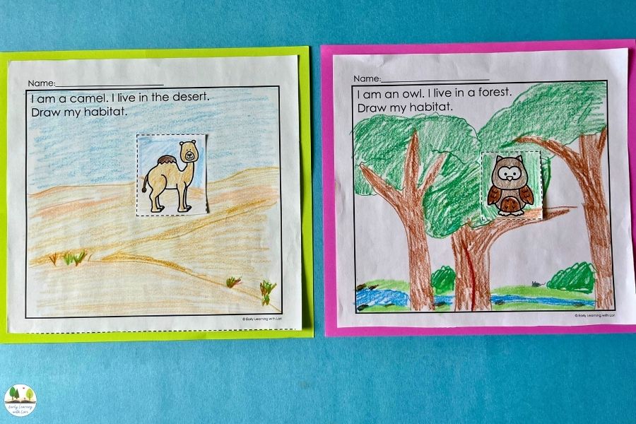 Free Animal Habitat Activities for Kindergarten & 1st Grade